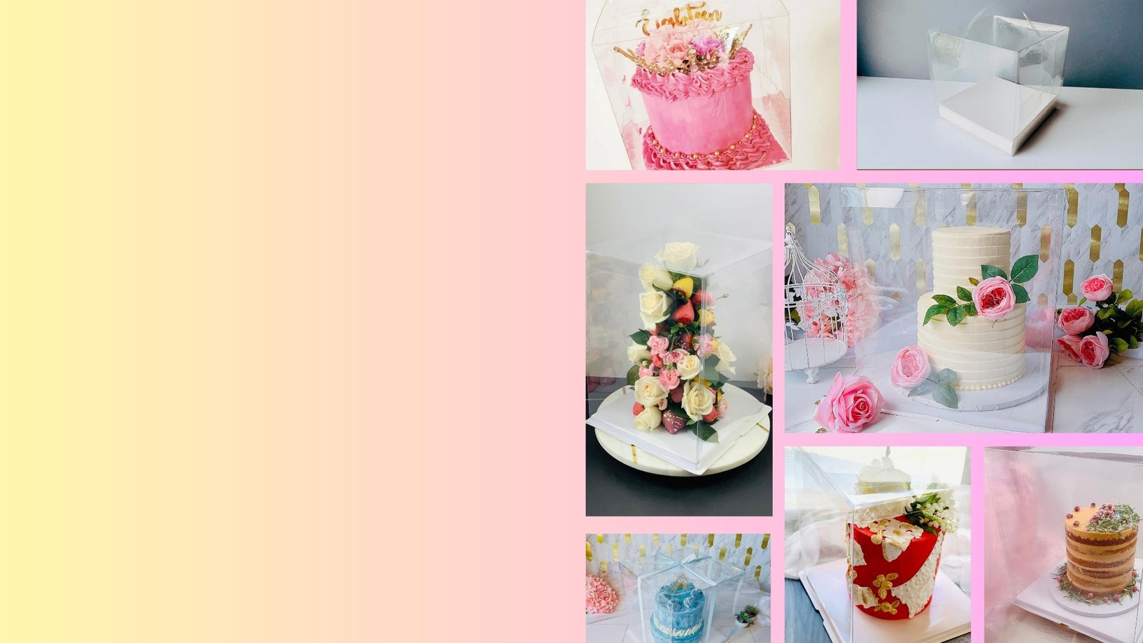 Clear Cake Boxes & Premium Bakery Packaging | Sweet Degrees Kitchen